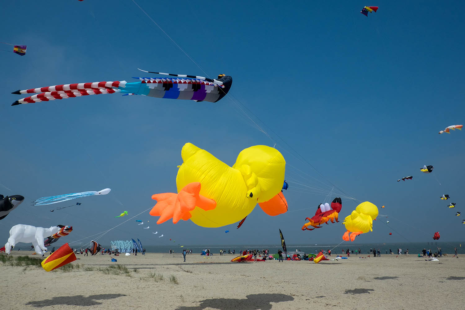 Renesse Aan Zee | Het is weer feest boven het strand van Renesse; ‘Kijk ...